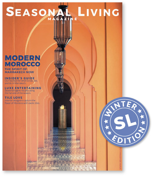 Shop Our Collections